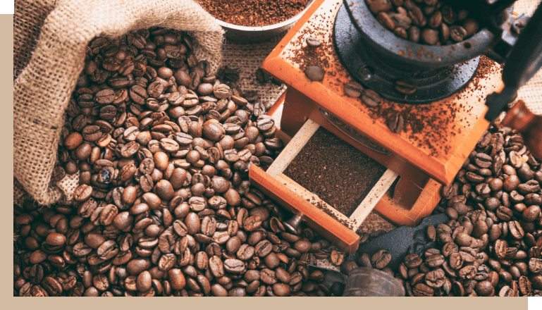 Café moulu: guide complet sur cette forme de café | Maison du Café